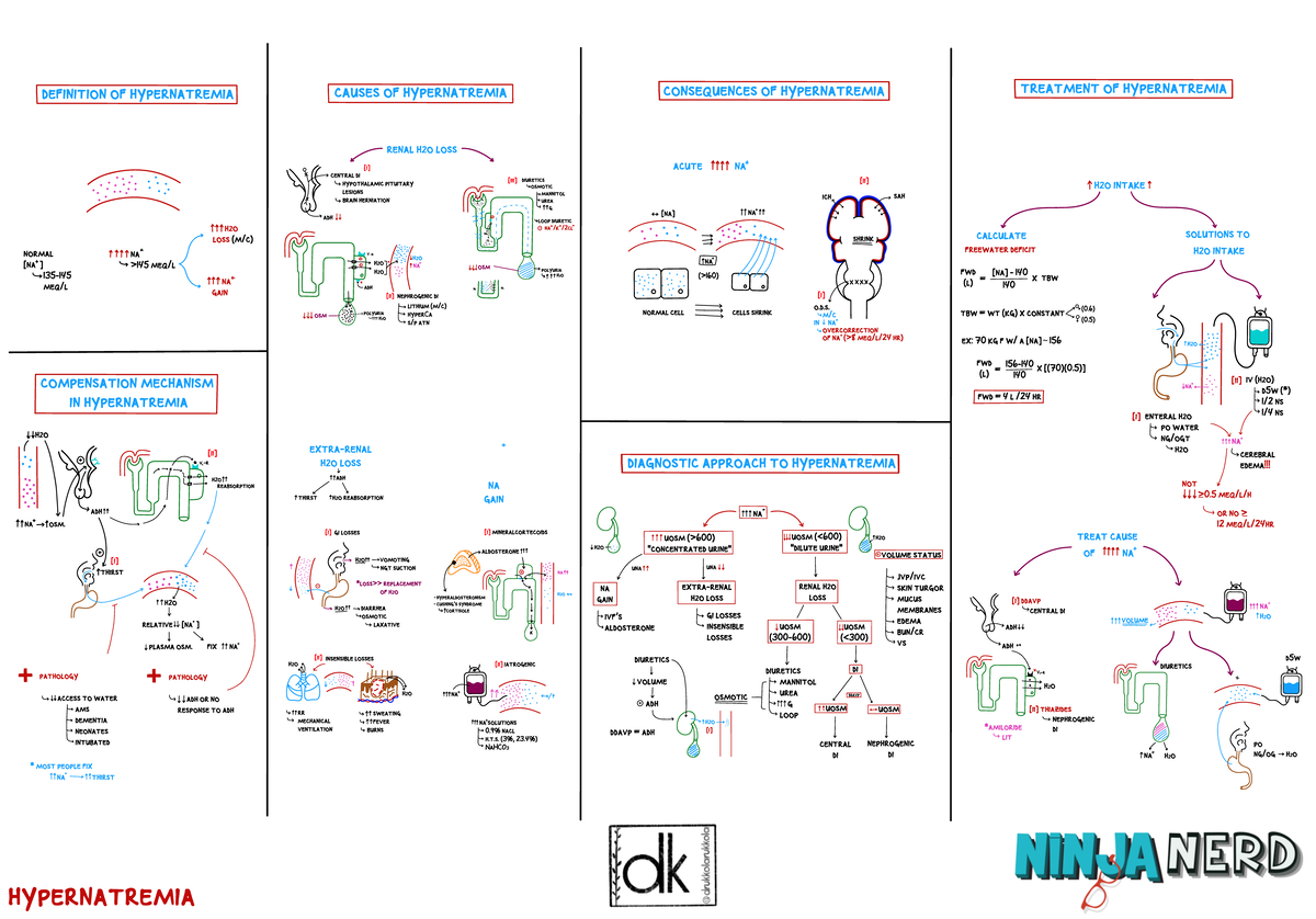 Hypernatremia - Renal pathology - Gastrointestinal system, pathology ...