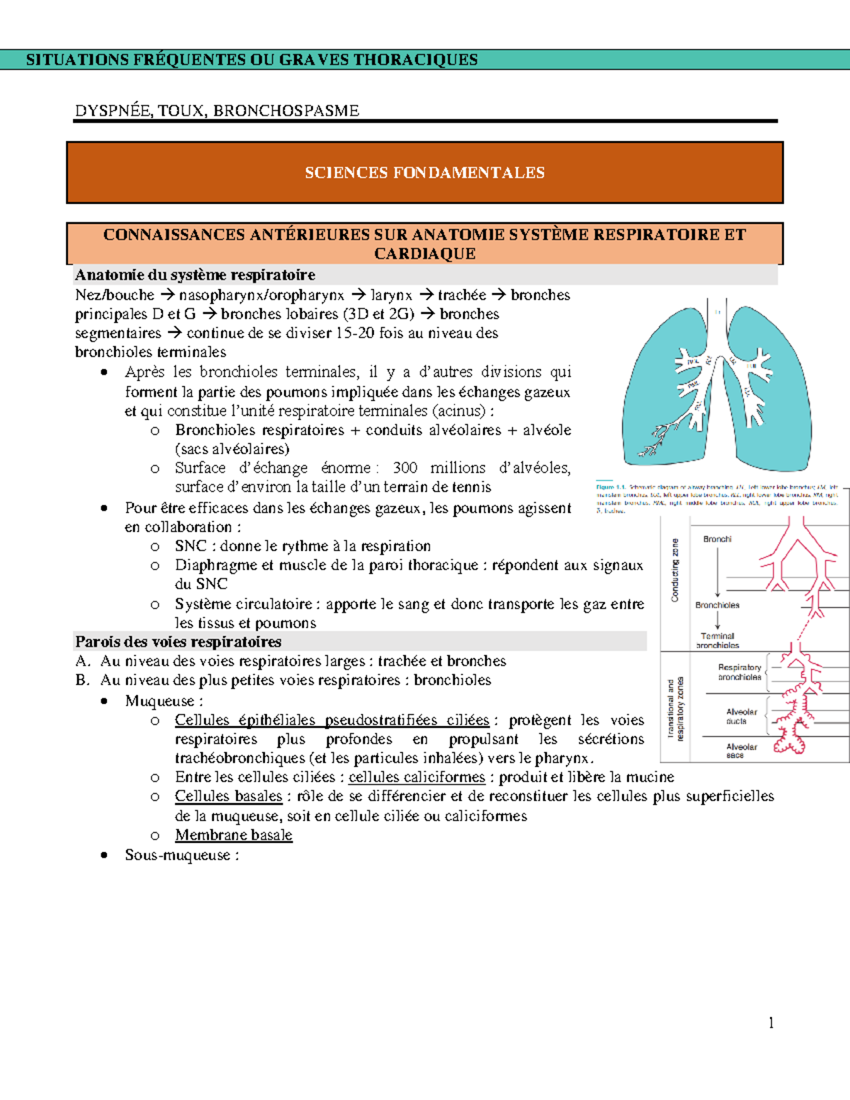 Dyspnée, toux, bronchospasme - DYSPNÉE, TOUX, BRONCHOSPASME SCIENCES ...