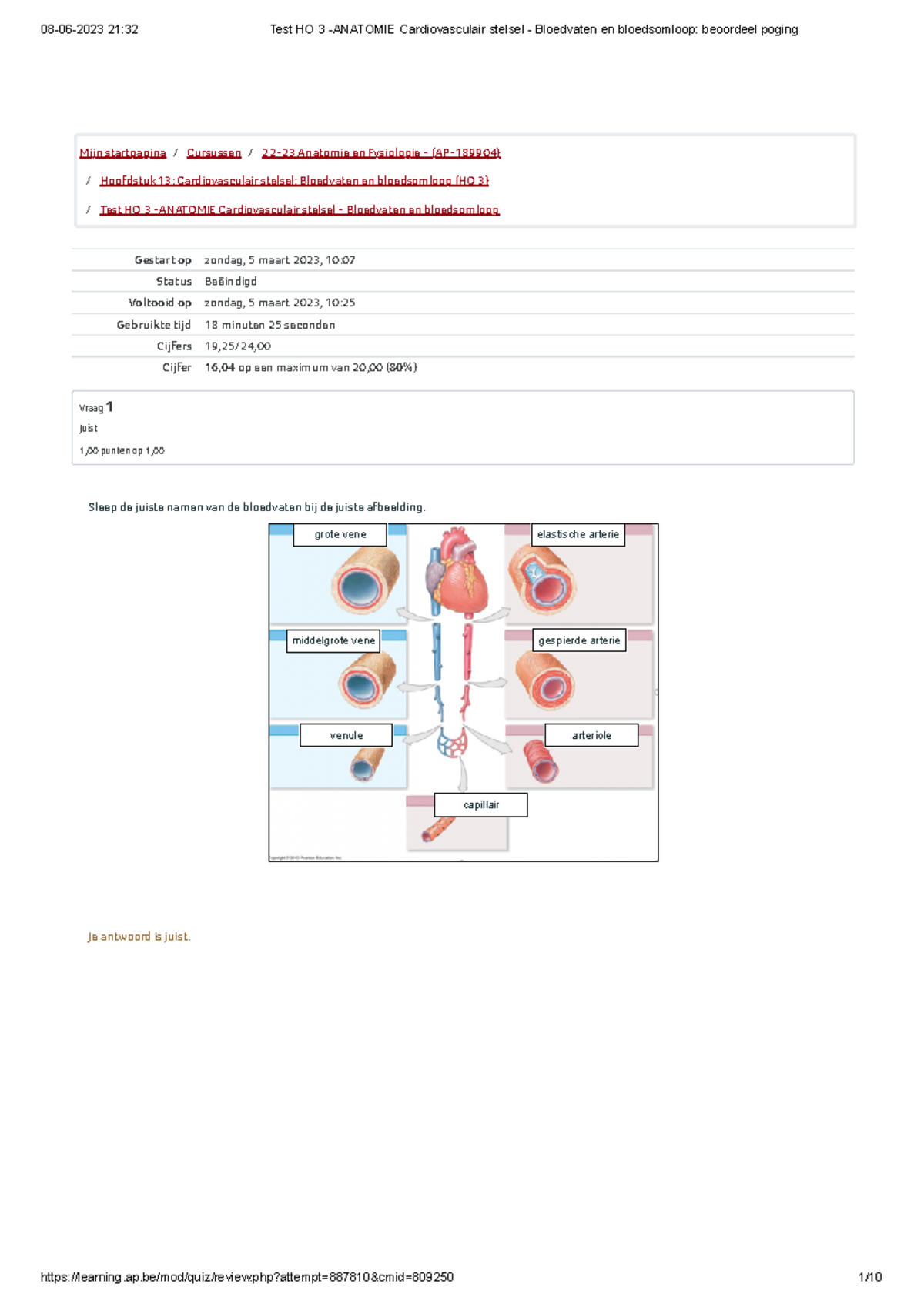 Test HO 3 - Anatomie Cardiovasculair stelsel - Bloedvaten en ...