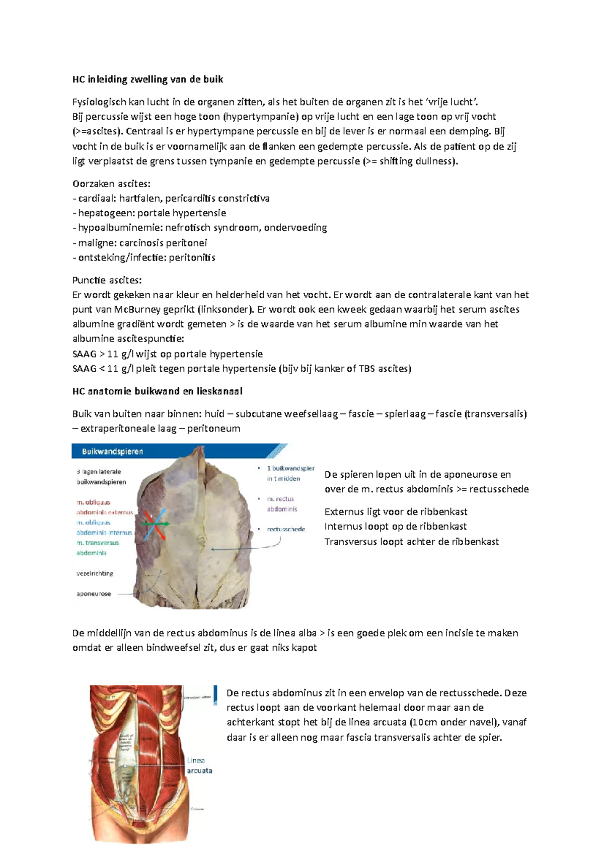 Colleges buik - HC inleiding zwelling van de buik Fysiologisch kan ...