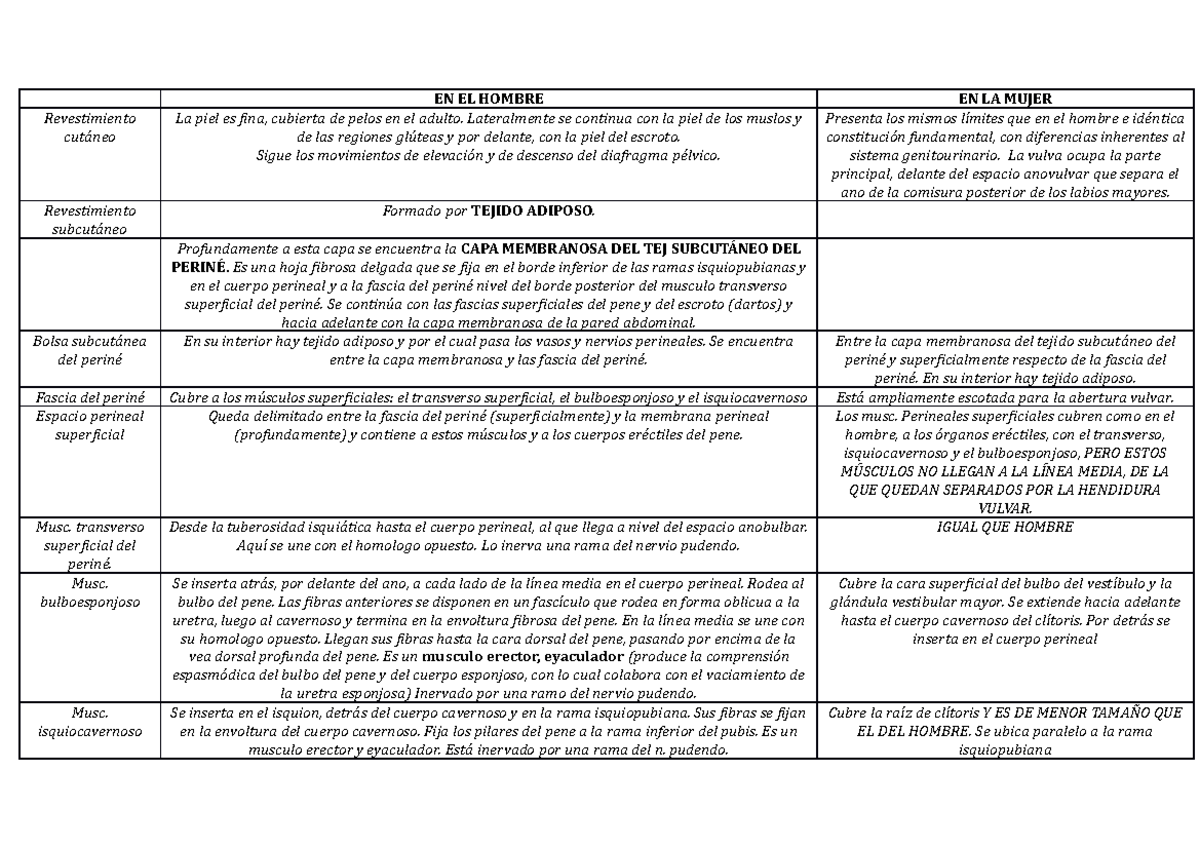 Periné del hombre y la mujer - Anatomía - EN EL HOMBRE EN LA MUJER ...