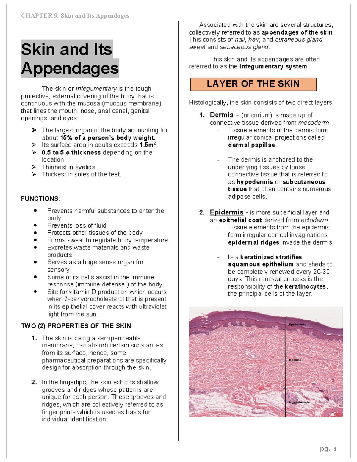 Transes Integumentary - Skin and Its Appendages The skin or ...