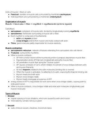 Vocal Tract Tongue Face Muscles - Oral cavity consists of two ...