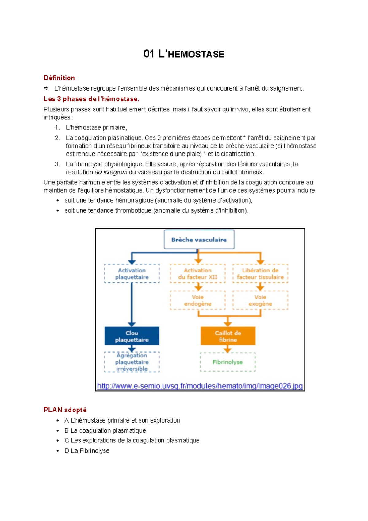 Super doc-hemostase - Cours sur l'hémostase - 01 L’HEMOSTASE Définition L’hémostase regroupe ...