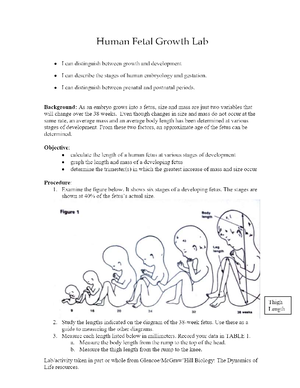 Human Structure and Function - Human Biology Unit3 - HUM 101 - Studocu