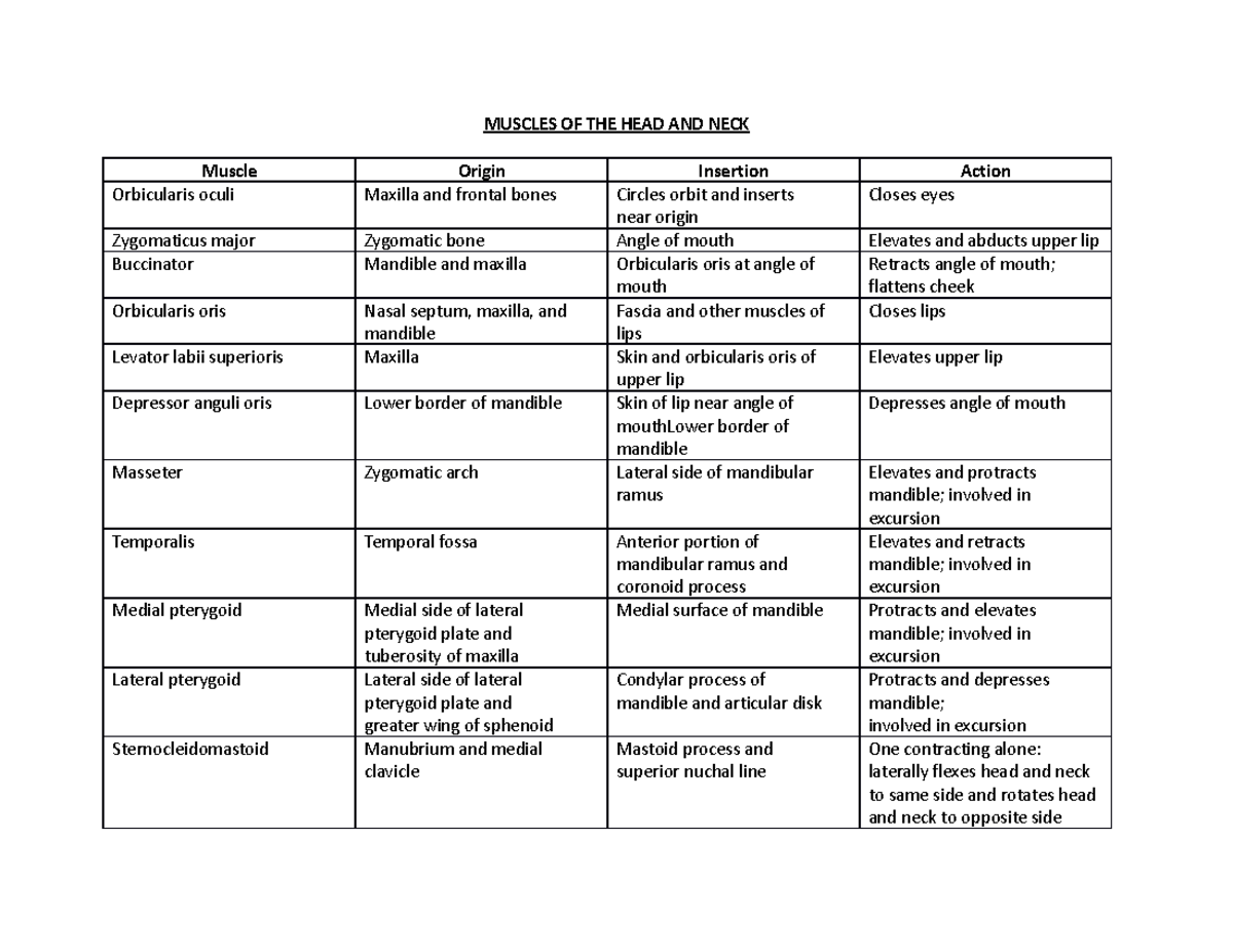 The Muscular System (Origin, Insertion, and Action) Template - MUSCLES ...