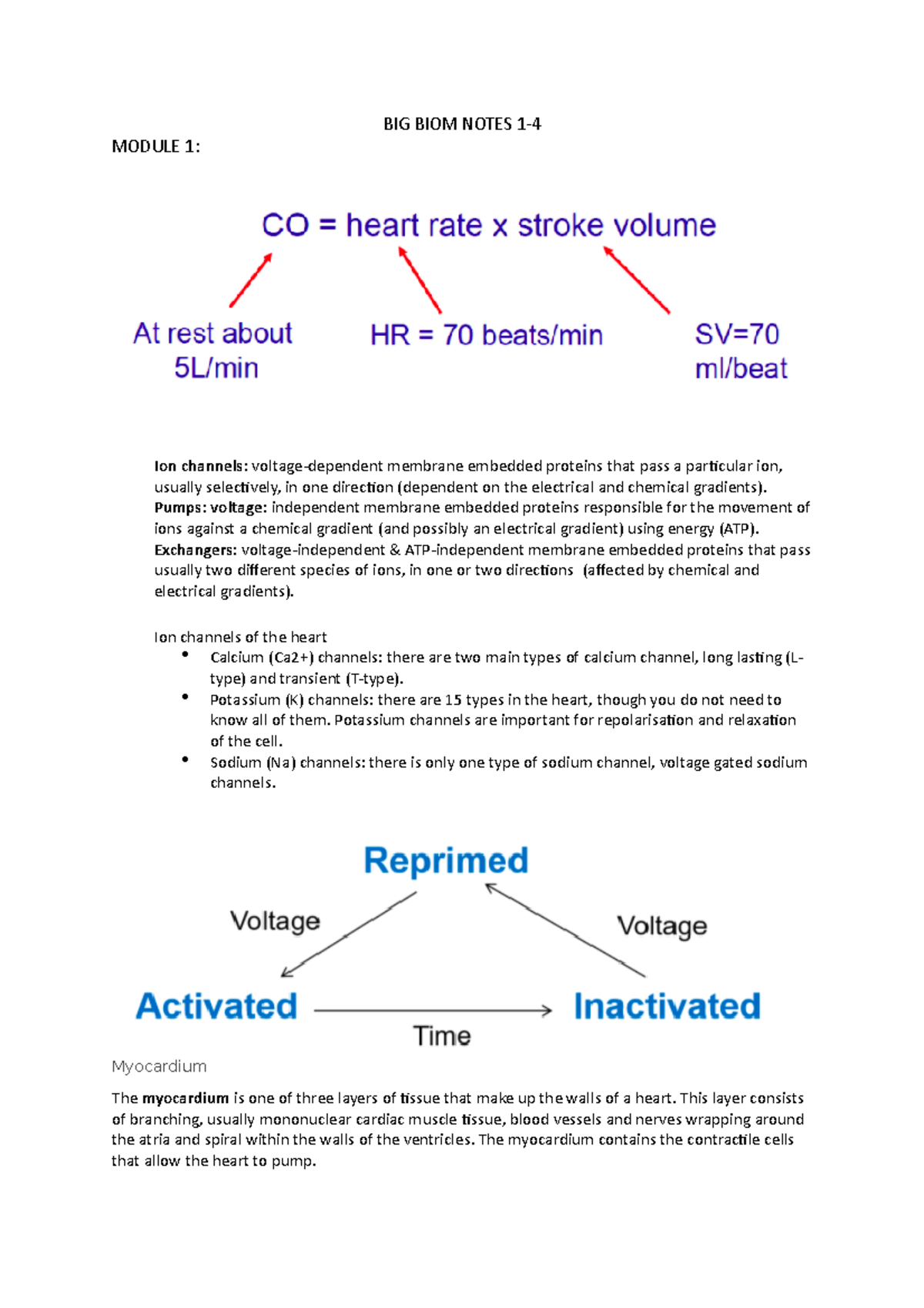 Module 1-4 - Lecture notes 1-4 - BIG BIOM NOTES 1- MODULE 1: Ion ...