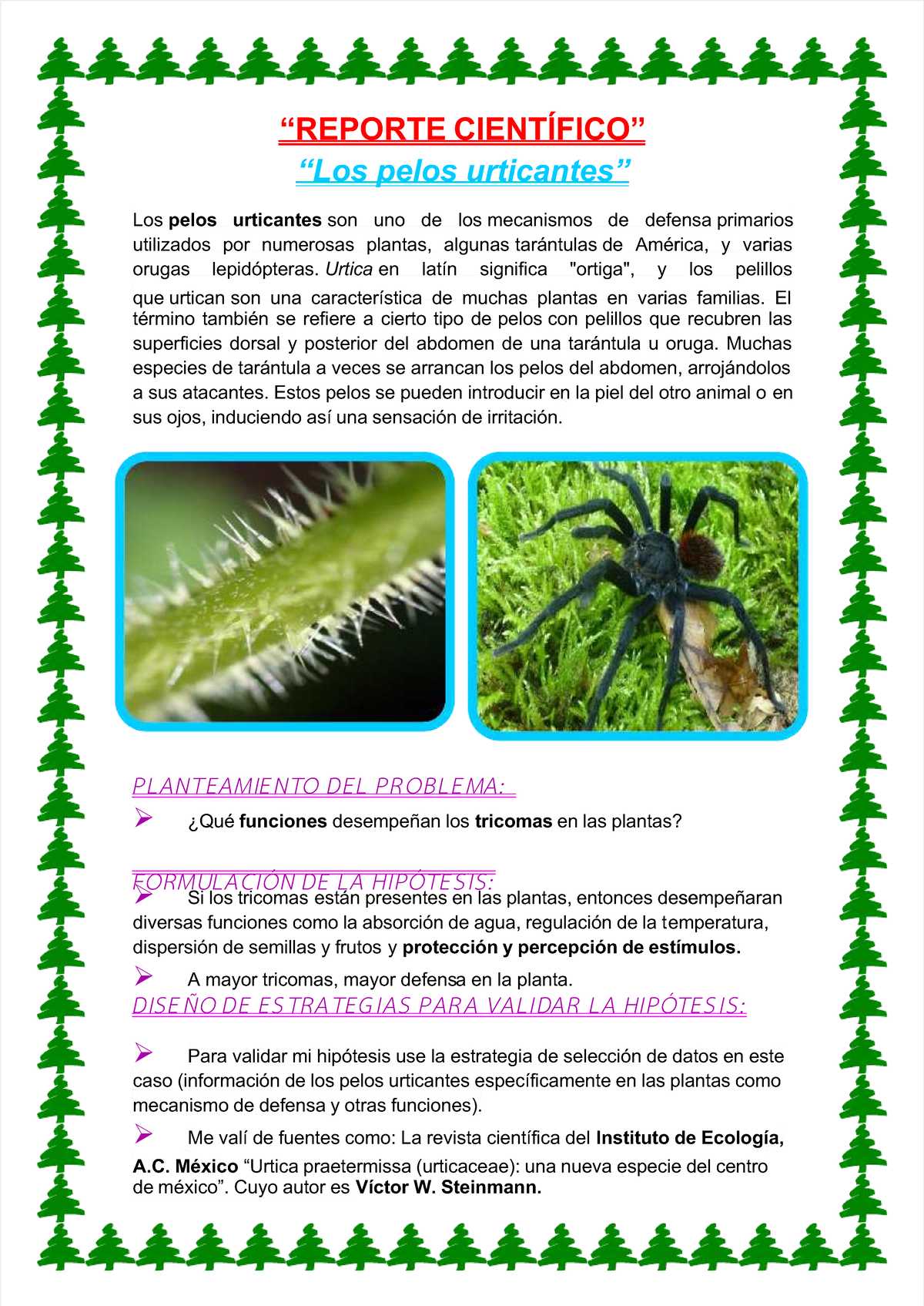 Pdf-reporte-cientificodocx compress