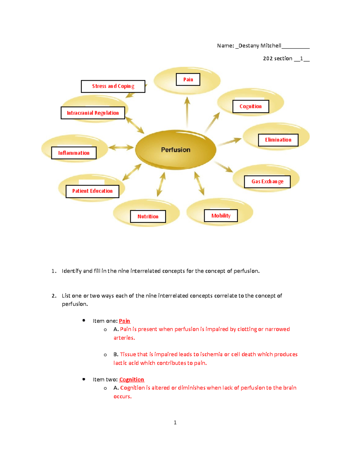 Mitchell. Class Assignment Perfusion - Name: Destany Mitchell ...