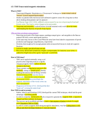 PSYC2000 8 2022 lab report guide - Lab report marking guide Developmental Psychology (PSYC20008 ...