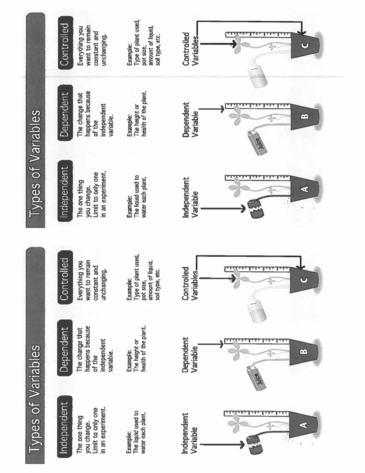 Variable Practice - Educ Course - Education - Studocu