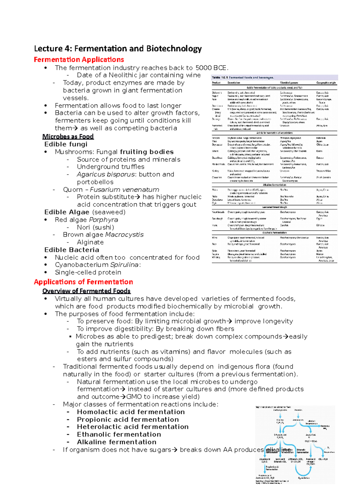 Micro 2 lec 4 - Lecture 4 Notes - Lecture 4: Fermentation and ...
