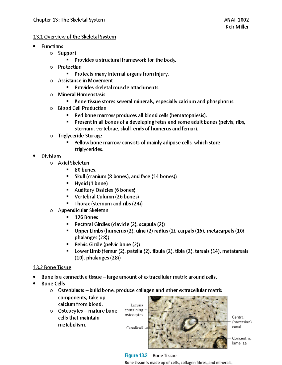 Chapter 13 The Skeletal System Notes - Keir Miller 13 Overview of the ...