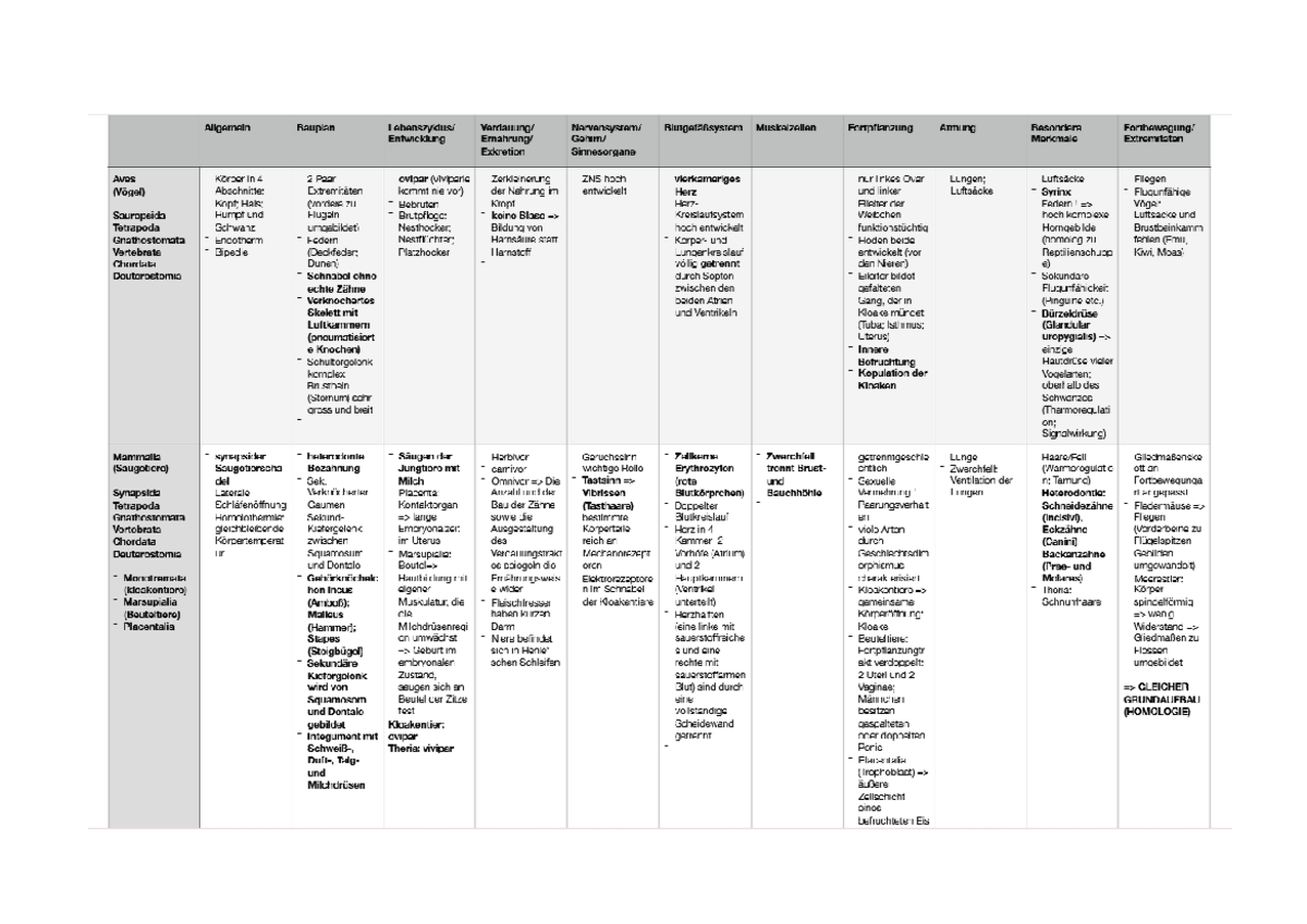 Zoologie für drive - Sommersemester - Grundlagen der Biologie 3 ...