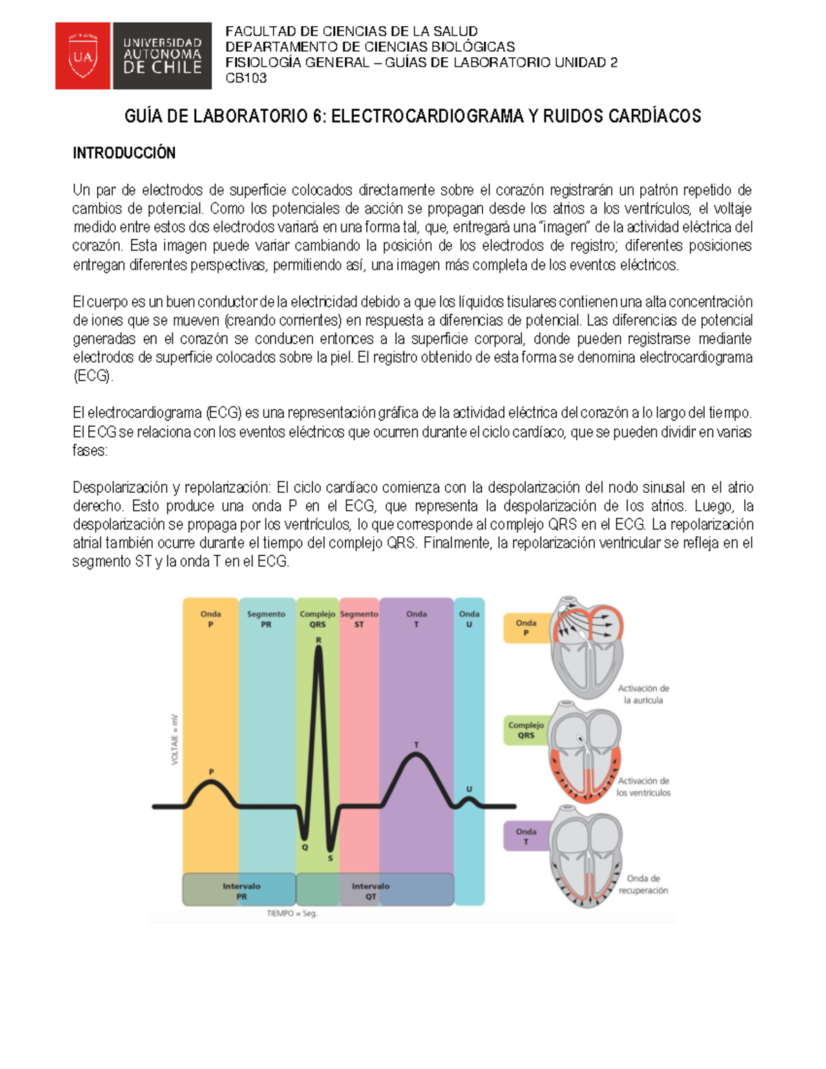 GUÍA DE Laboratorio 6 Electrocardiograma Y Ruidos Cardíacos-2 ...