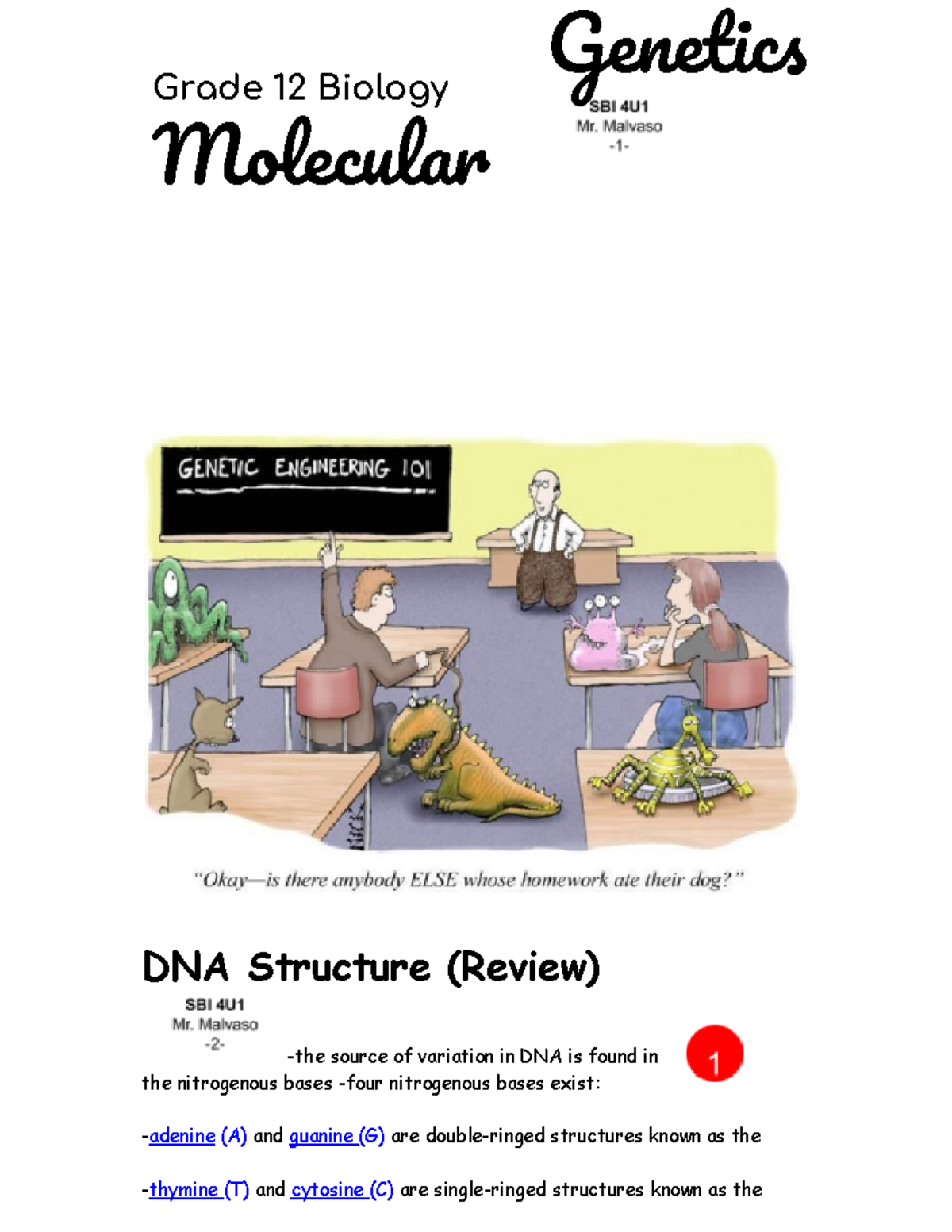 Molecular Genetics - Grade 12 Biology Molecula Genetic DNA Structure ...