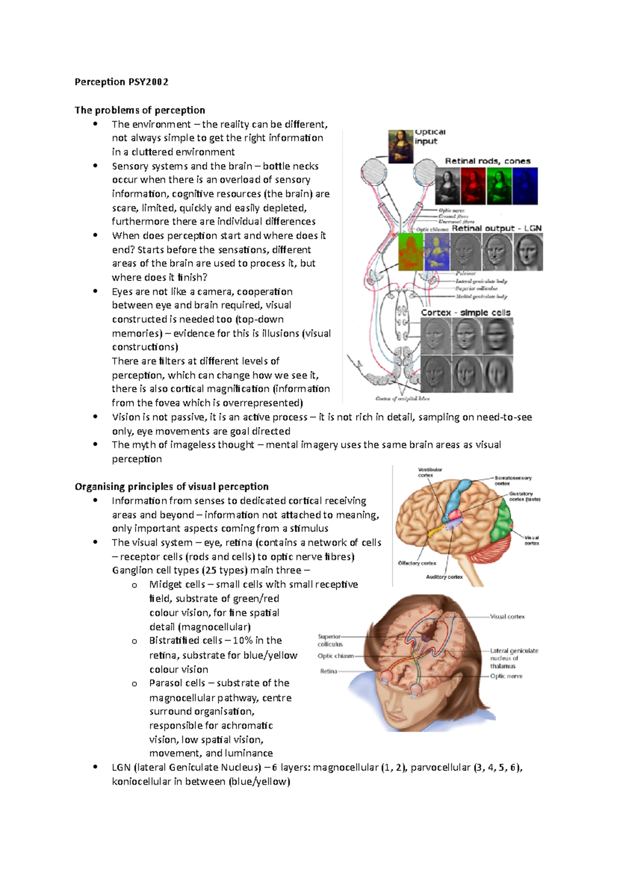 Lecture 1 - the problems of perception - Perception PSY The problems of ...