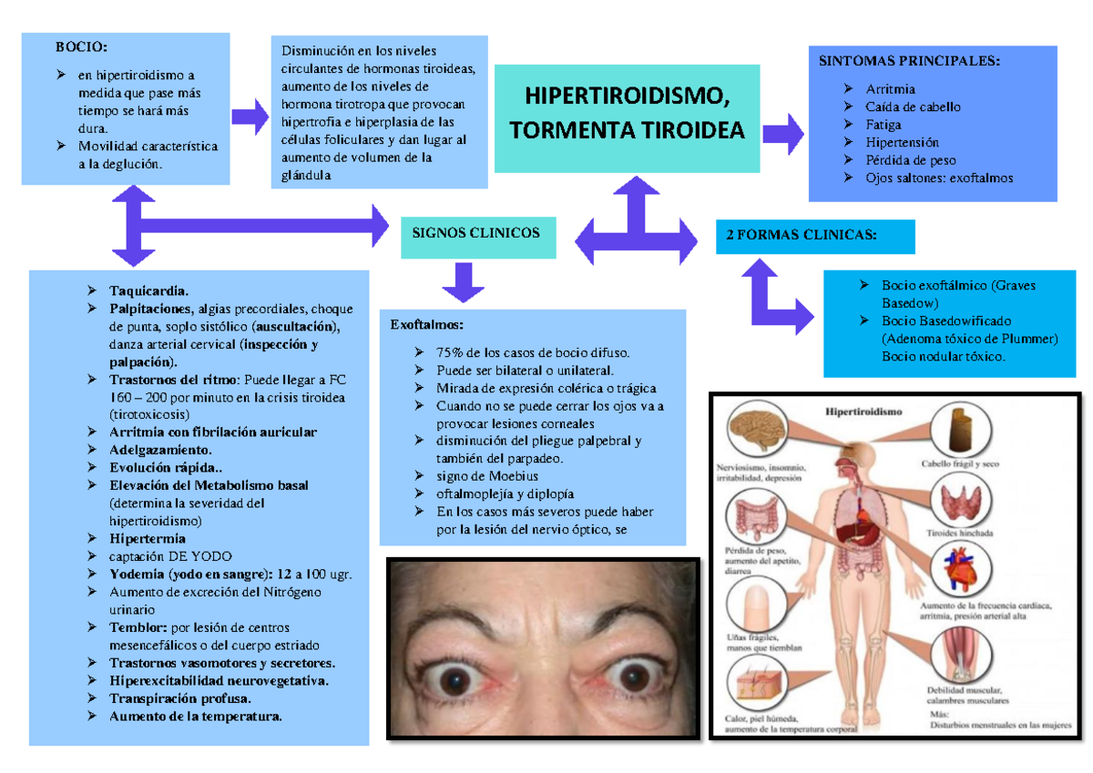 Esquema 2 - efvxrbvr3tcb3 - BOCIO: en hipertiroidismo a medida que pase ...