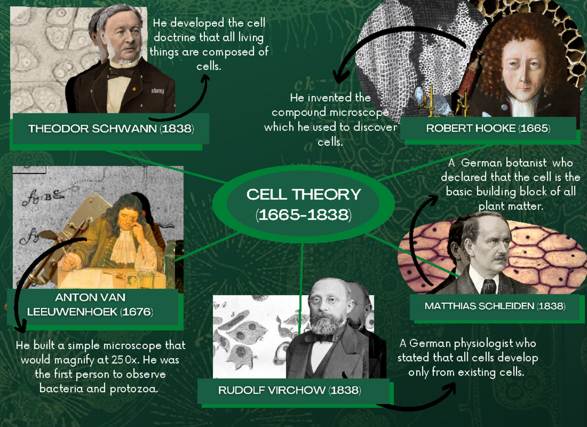 Robert Hooke (1665) - This is the summarized cell theory with ...