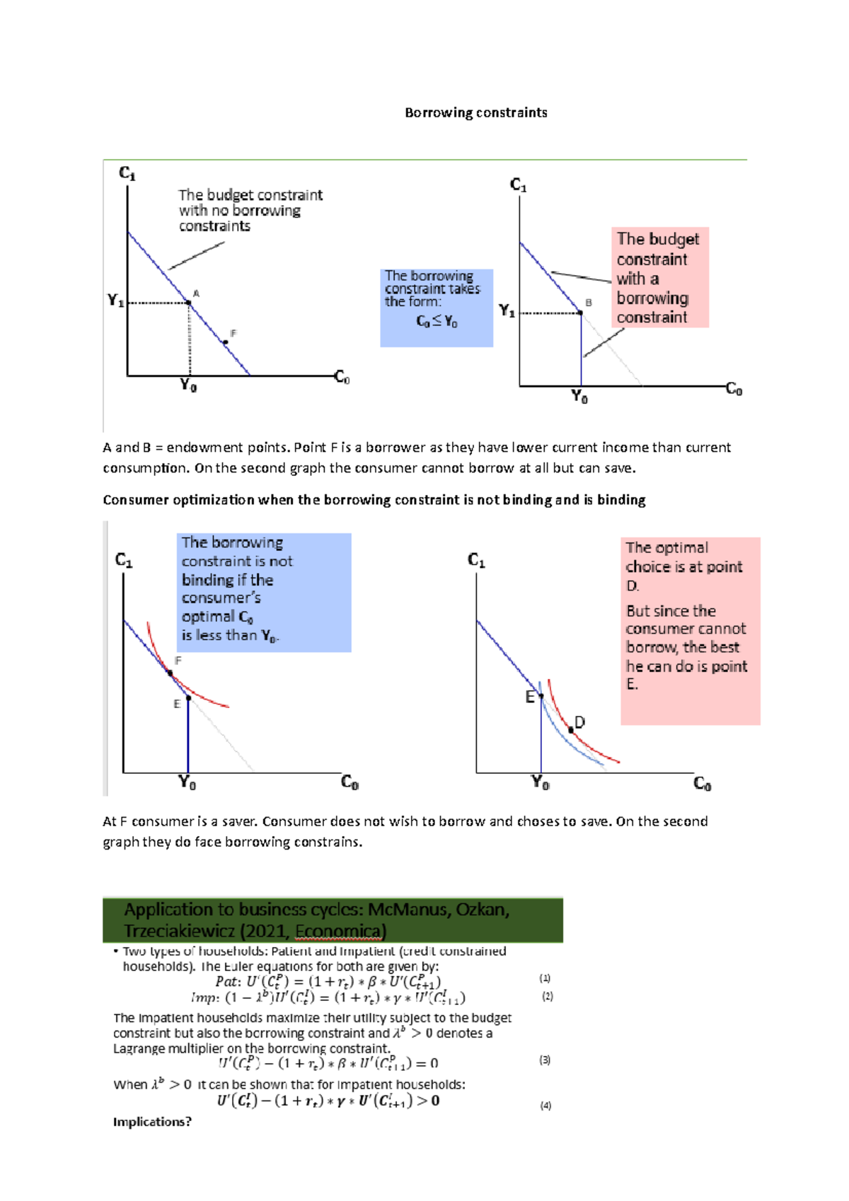Borrowing constraints - 17ECB001 - Lough - Studocu