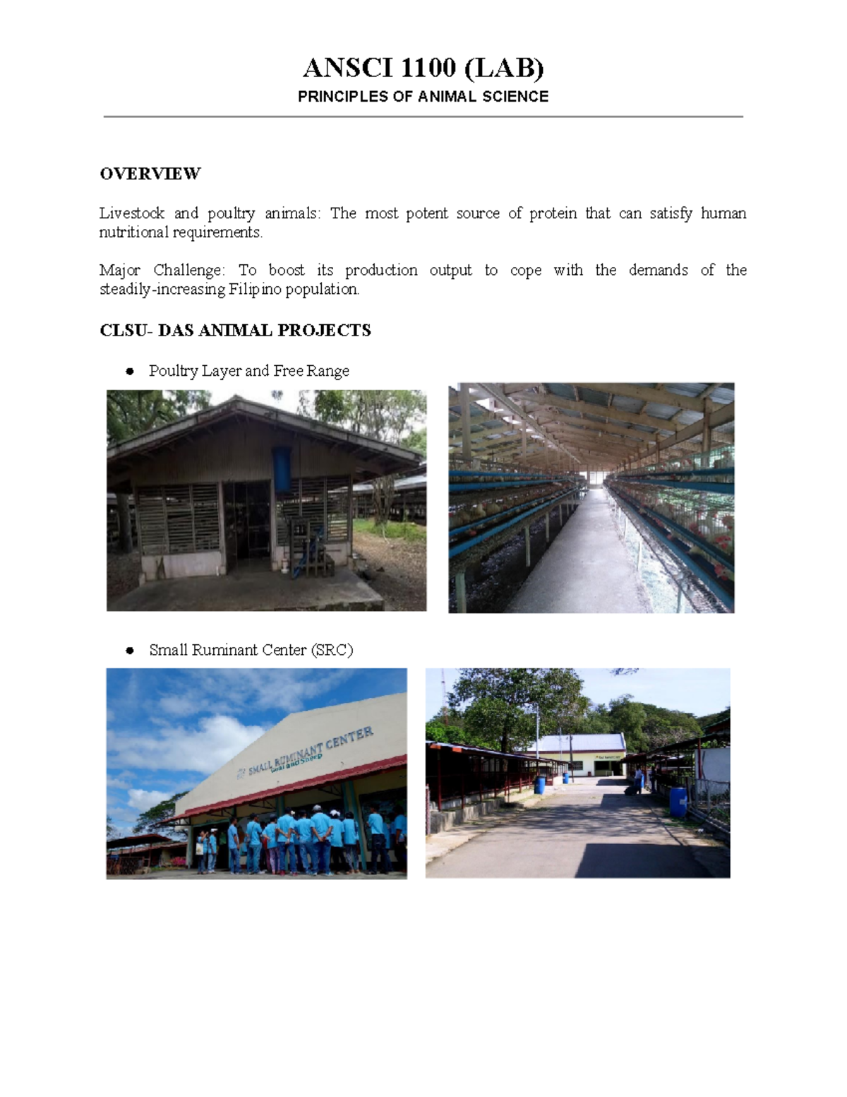 Animal Science Module 1 - ANSCI 1100 (LAB) PRINCIPLES OF ANIMAL SCIENCE ...