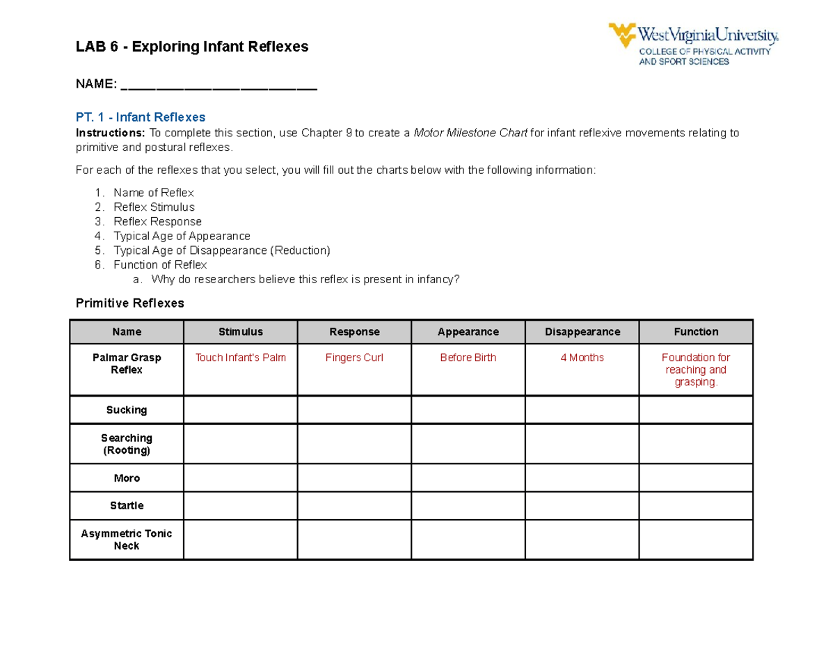 PET 175 LAB 6 - Exploring Infant Reflexes - LAB 6 - Exploring Infant ...