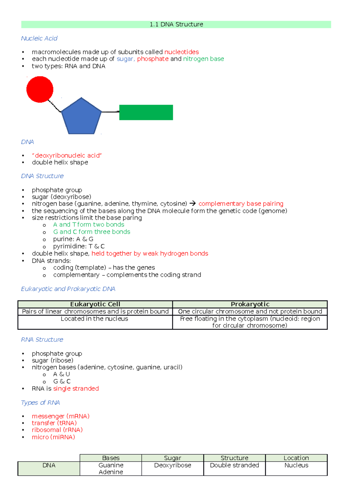 Biology Bible - detailed notes - 1 DNA Structure Nucleic Acid ...