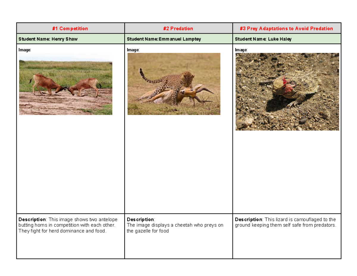 Copy of Ch. 5 Amazing Species Interactions Collaboration - #1 ...