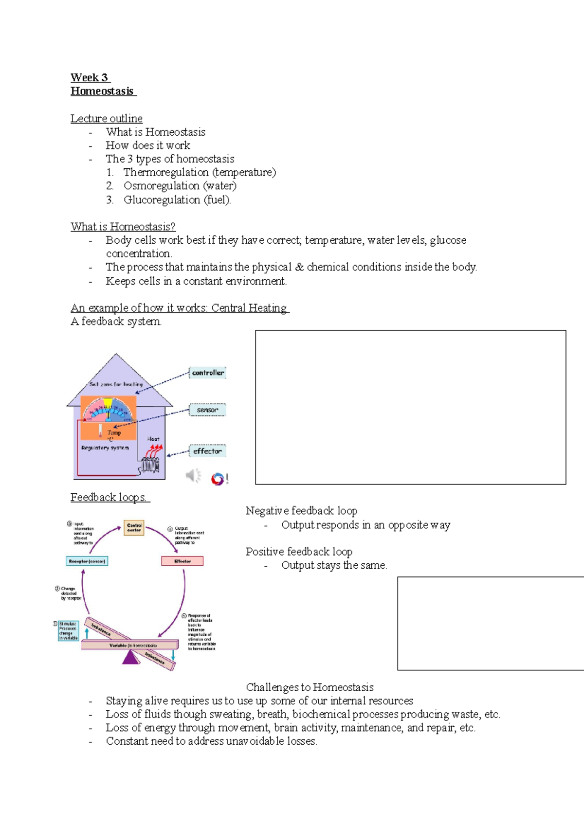 Week 3 biopsych - Lecture notes from the module typed up. - Week 3 ...