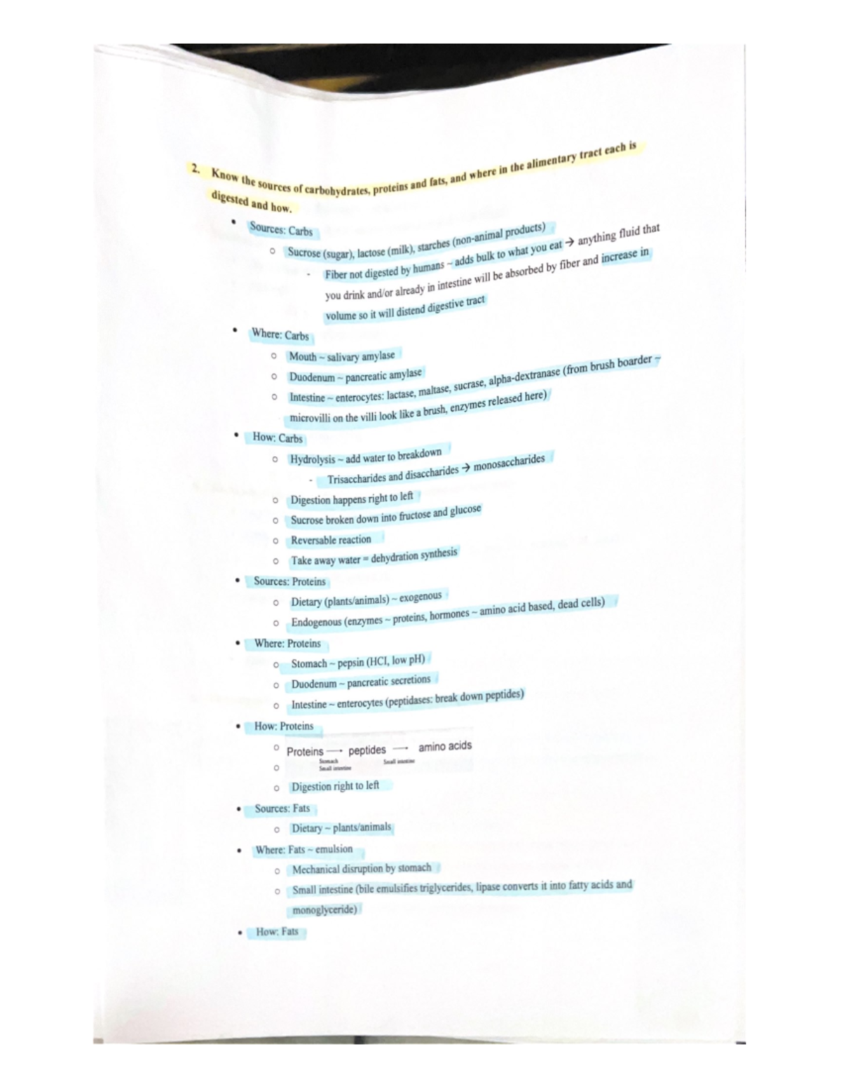 Digested and how - Notes on digestion tract - BIO 269 - Studocu