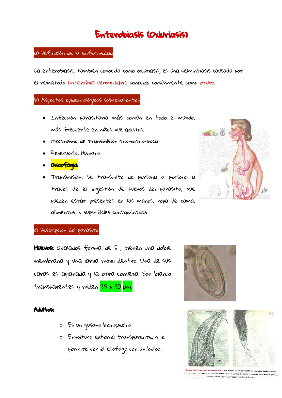 Enterobiais - Resumen Parasitosis humana - Enterobiasis (Oxiuriasis) a ...