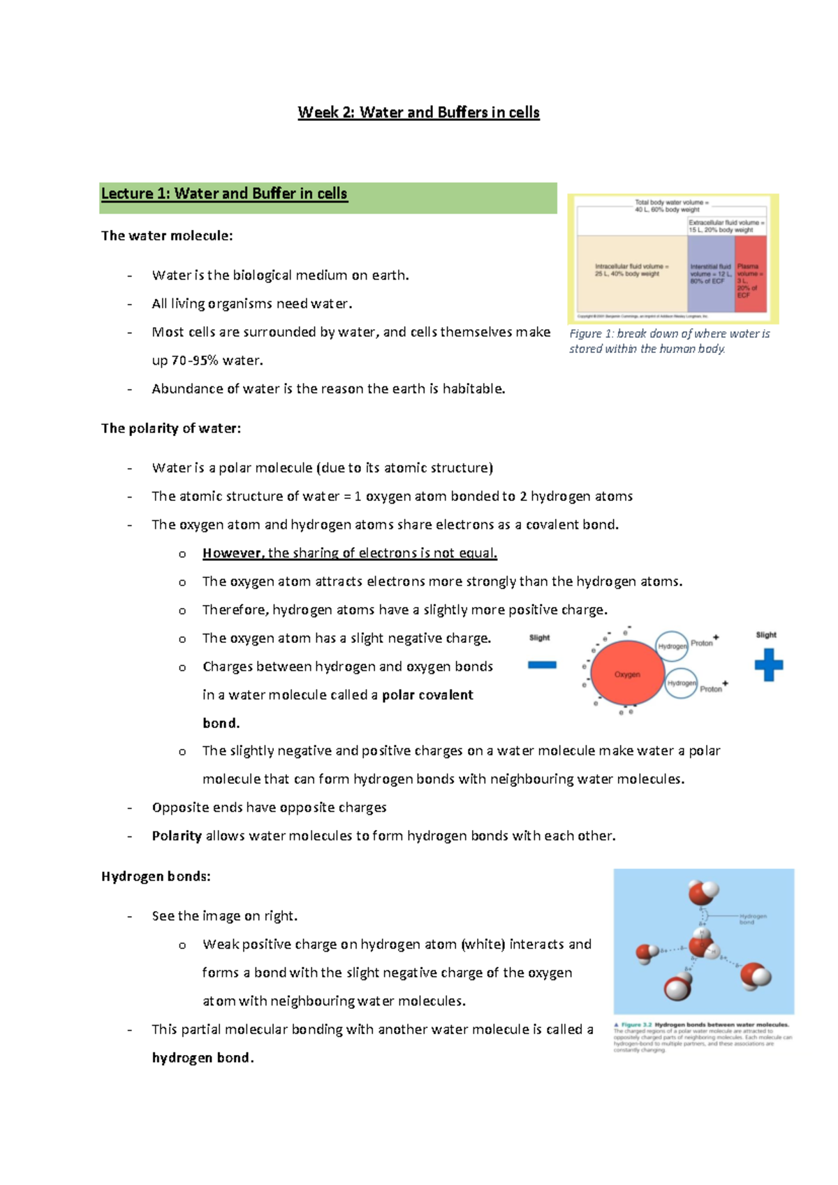 CBG Lecture 1 - Week 2: Water and Buffers in cells Lecture 1: Water and ...