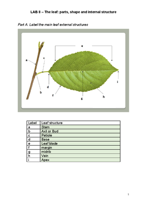 LAB 9 - Measuring plant growth rate using different wavelengths. - LAB ...