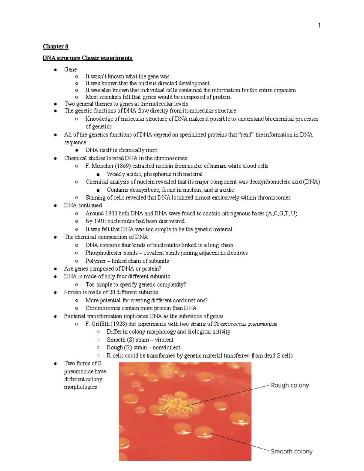Genetics ch 6 - lecture notes with pictures - Chapter 6 DNA structure ...
