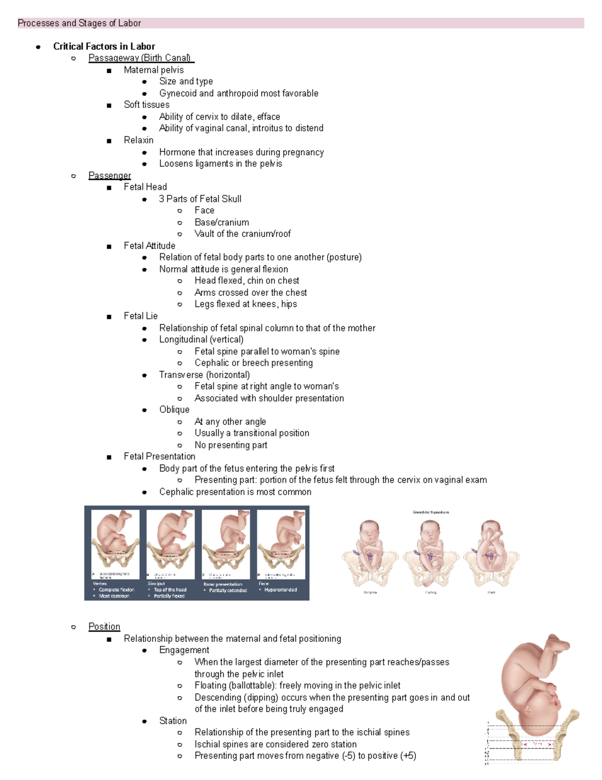 OB Exam 2 Focused Notes - Processes and Stages of Labor. Critical ...