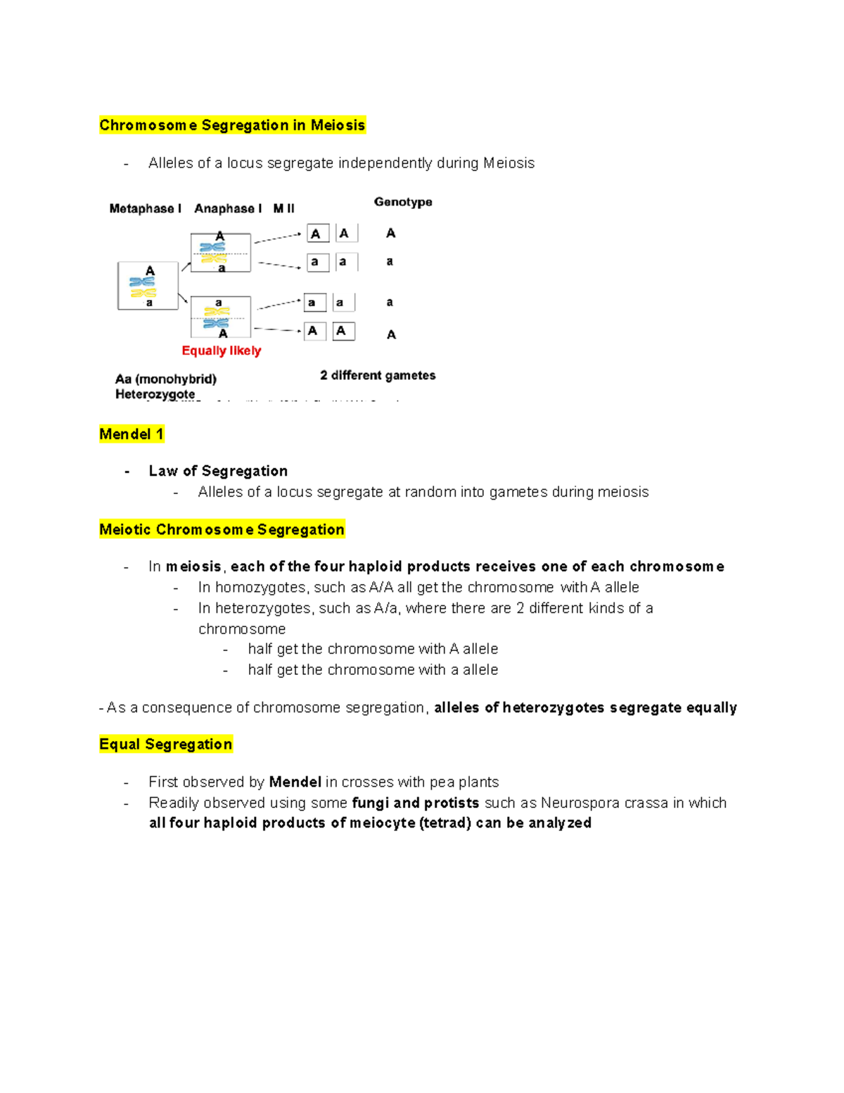 Lec. 3 (Mendelian Inheritance) Genetics 102 - Chromosome Segregation in ...