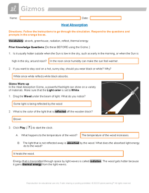 Graphs and Runner Motion - Studocu