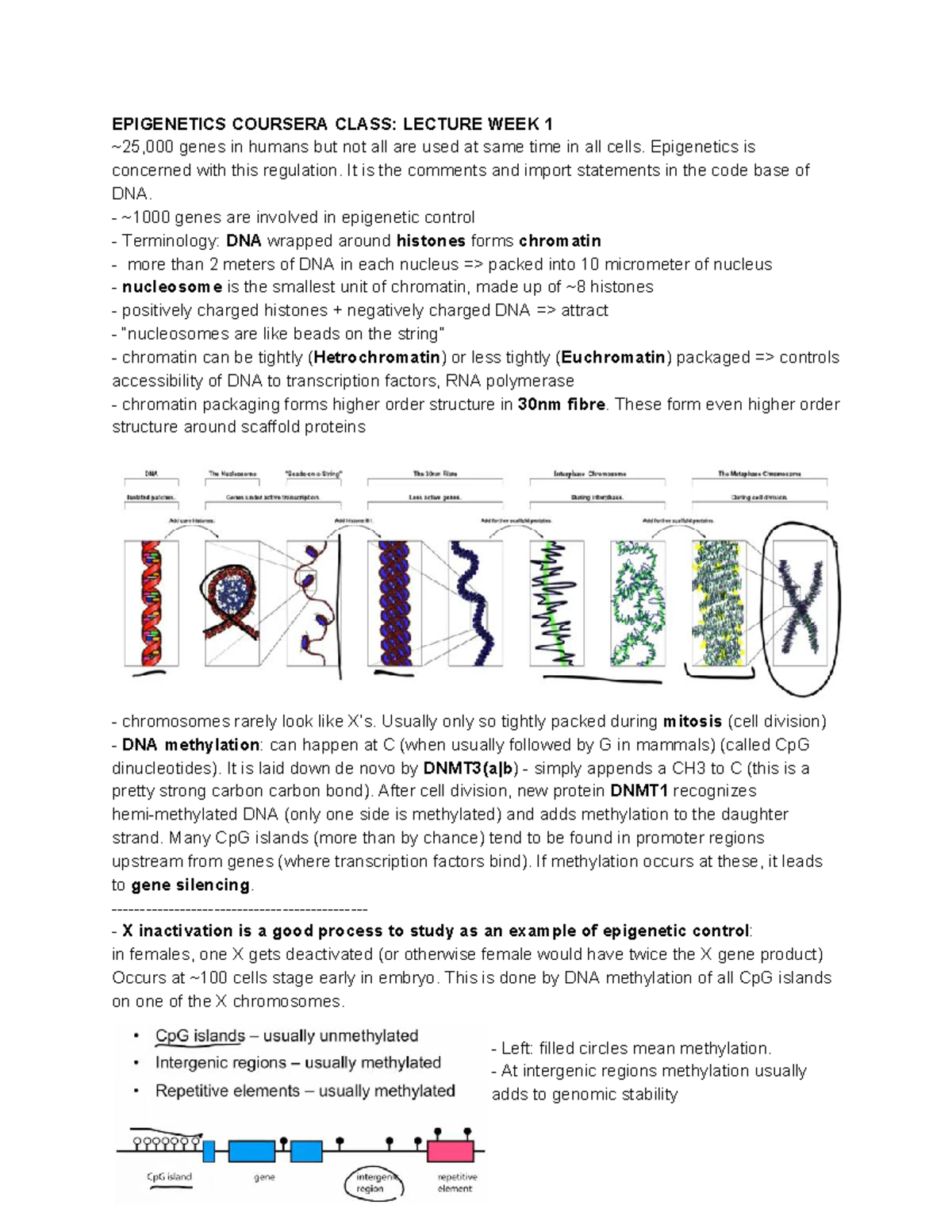 Epigenetics Stanford Coursera Notes - EPIGENETICS COURSERA CLASS ...