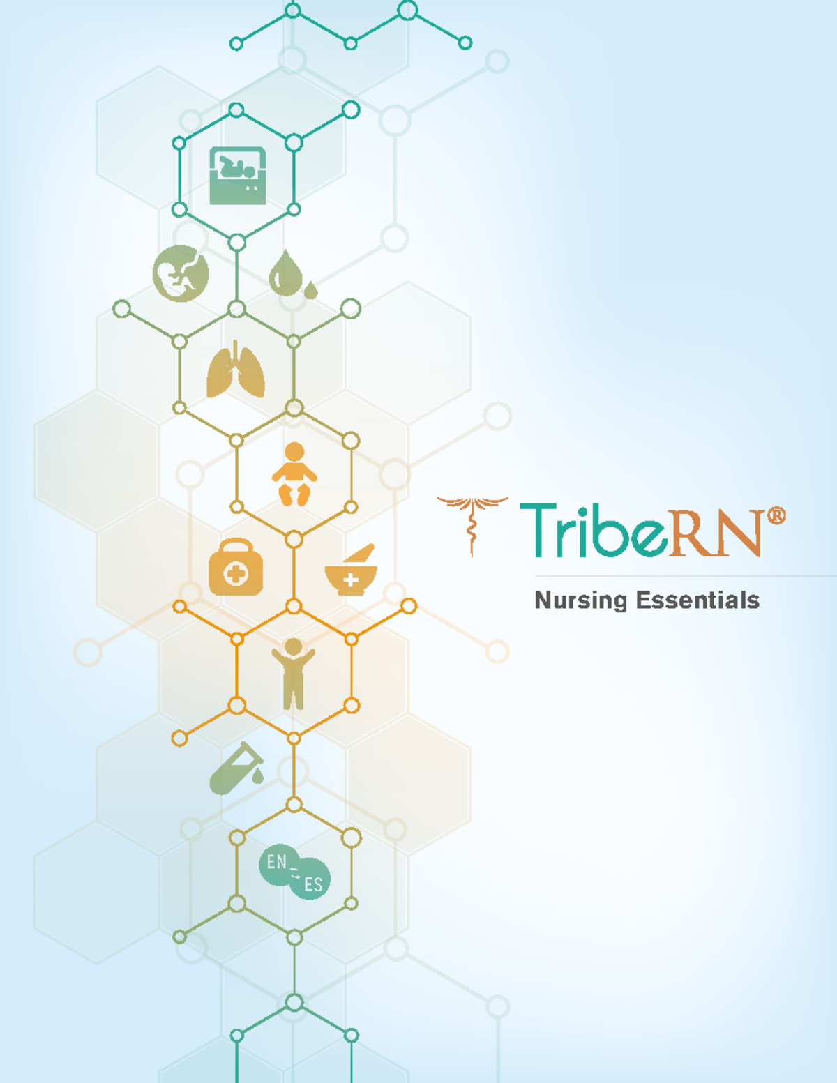 Nursing Essentials Set-1 - Nursing Essentials 2 mm 3 mm 4 mm 5 mm 6 mm ...