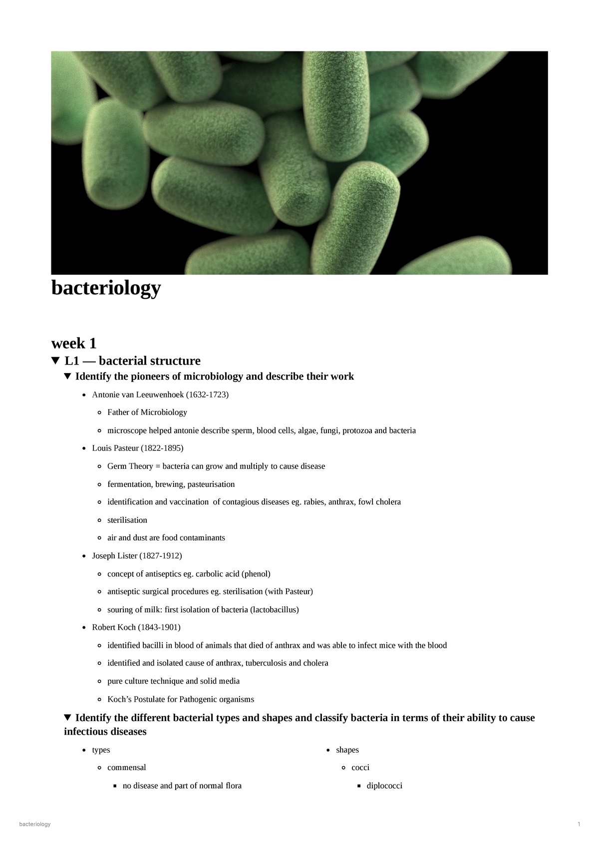 Bacteriology - notes from the slides given - bacteriology week 1 L1 ...