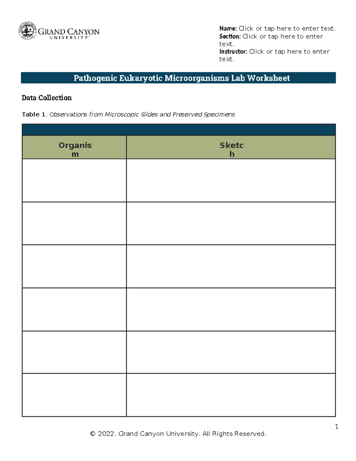 BIO-205L LAB 11 Worksheet - Section: Click or tap here to enter text ...
