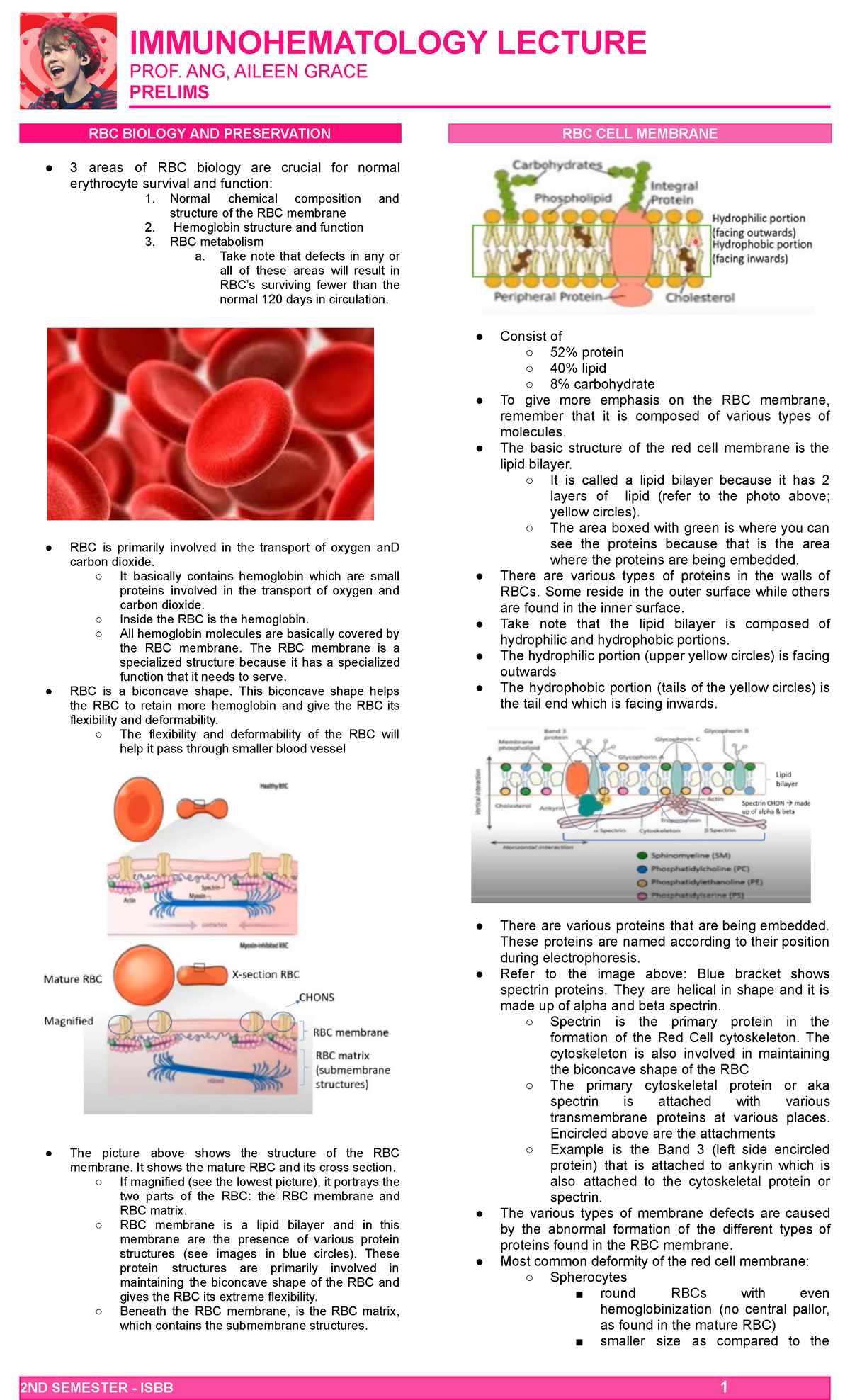 IHBB Prelims SUMMARY - PROF. ANG, AILEEN GRACE PRELIMS L RBC BIOLOGY ...