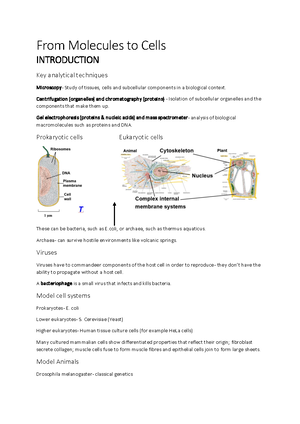 Molecules module 5 and beyond - BIOL10232 - Manchester - Studocu
