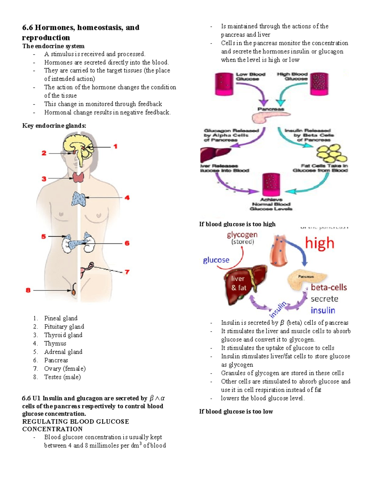 6.6 Hormones, homeostasis and reproduction - 6 Hormones, homeostasis ...