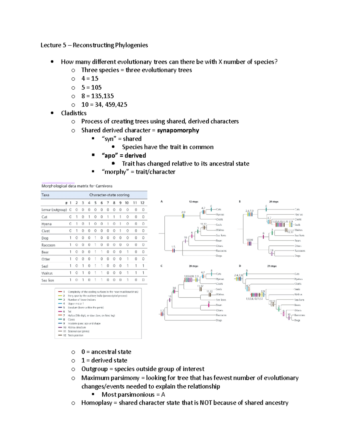Lecture 5- Reconstructing Phylogenies - Lecture 5 – Reconstructing Phylogenies How many ...