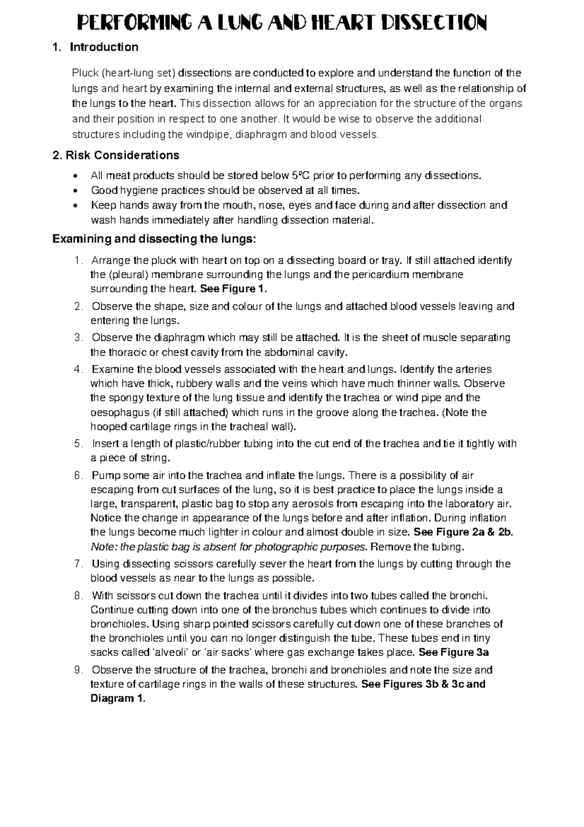 Lung and heart dissection class notes - Performing a lung and Heart ...