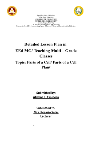 A Brief History of Philippine Art - Pre-conquest B. Islamic Colonial C ...