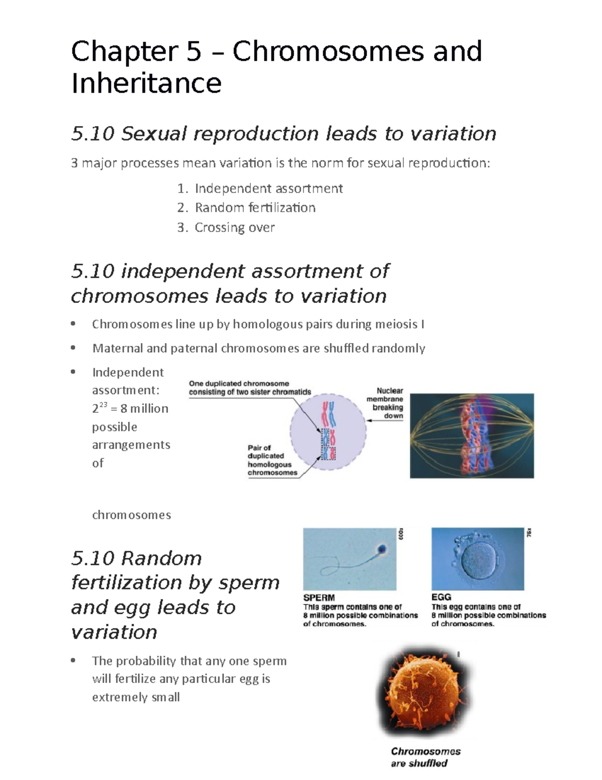 Chapter 5 - Chromosomes and Inheritance - part 2 - Inheritance 5 Sexual ...