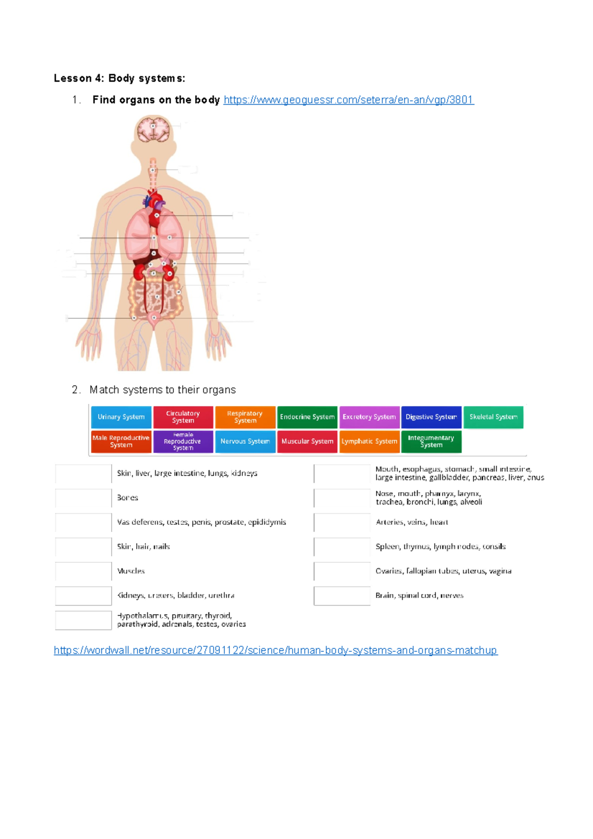 Cópia de Lesson 4 worksheet Body systems new - Lesson 4: Body systems ...