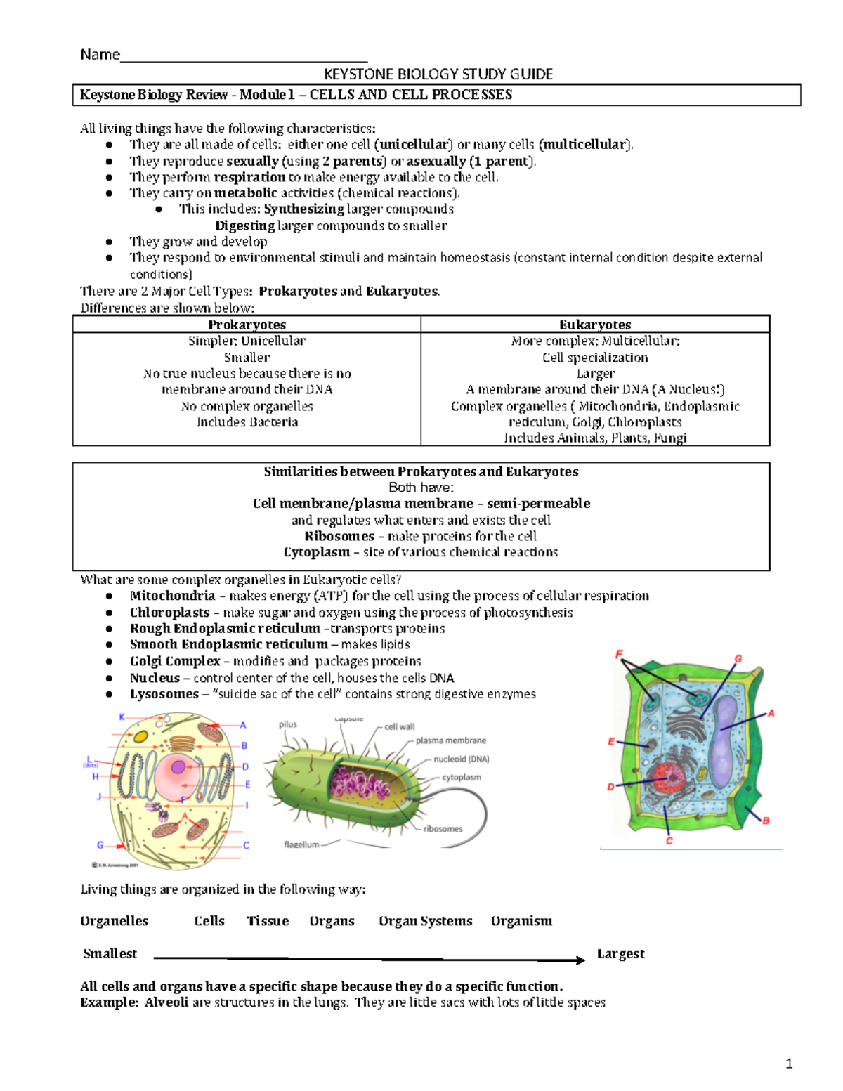 Keystone Review study guide A - Name ...